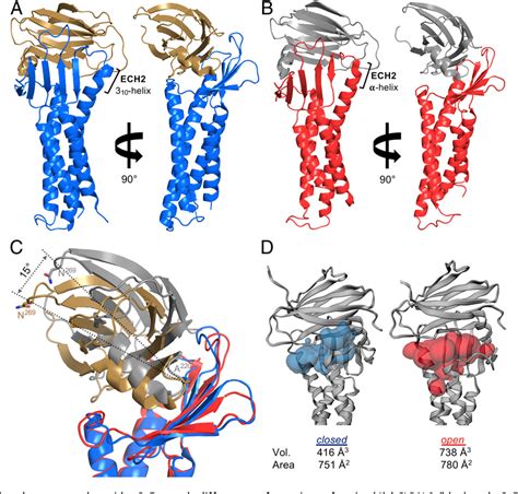 Figure 2 From Claudin 9 Structures Reveal Mechanism For Toxin Induced