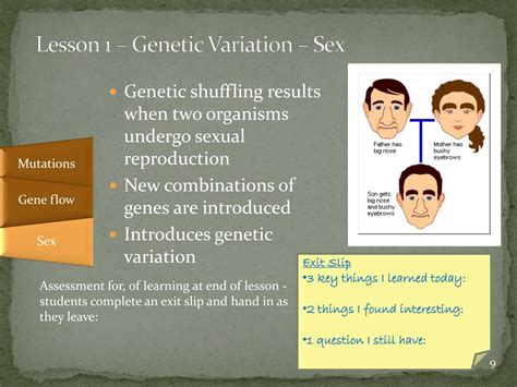 PPT Teaching The Concept Of MECHANISM OF EVOLUTION PowerPoint Presentation ID 2761281
