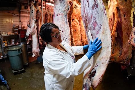 Los Precios De La Carne Bajarán Estas Son Las Razones Infobae