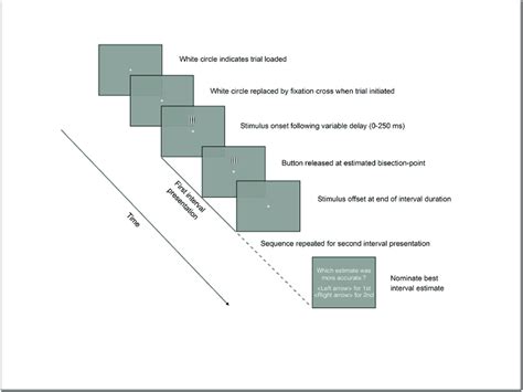 Schematic Illustration Of The Basic Sequence Of Events During A Download Scientific Diagram