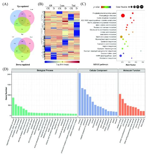 identification and characterization of drought responsive