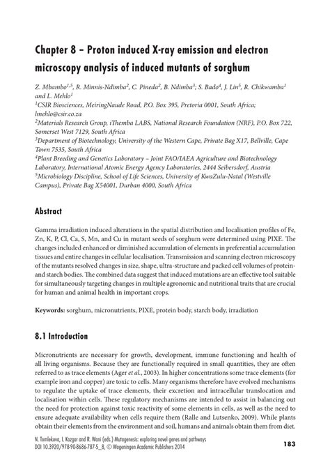 Pdf Proton Induced X Ray Emission Pixe And Electron Microscopy Analysis Of Seeds Of Gamma