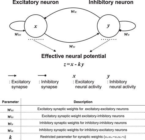 Overview Of Neural System Consisting Of Excitatory And Inhibitory Download Scientific Diagram