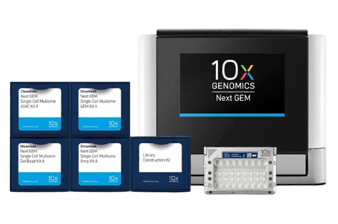 Expresion Genética A Nivel De Célula única Bonsai Lab