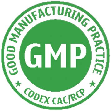 TOP CÔNG TY XUẤT KHẨU GỪNG TƯƠI UY TÍN TẠI VIỆT NAM