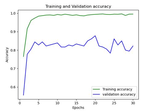 Training And Validation Curves For E2e Cnn Download Scientific Diagram