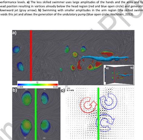An Example Of The Numerical Simulated Flow Pattern Of The Swimmers A Download Scientific