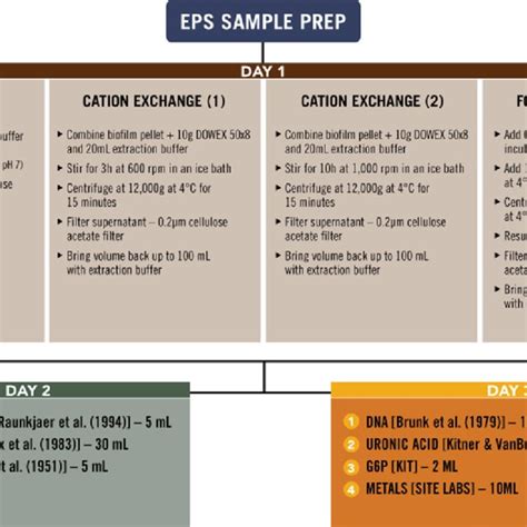 Summary Of Procedures To Process Samples For EPS Measurement Download Scientific Diagram
