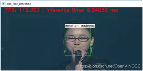 干货 使用openvino加速pytorch表情识别模型libtorch Openvino Csdn博客