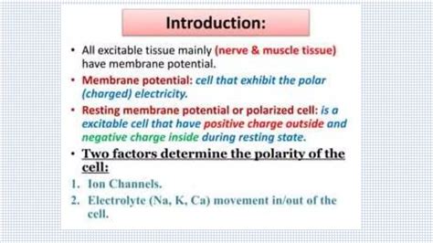 Origin And Propagation Of Action Potential Talk 12pdf Physics Science