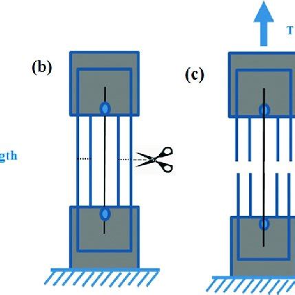 Tensile Test Specimen Download Scientific Diagram