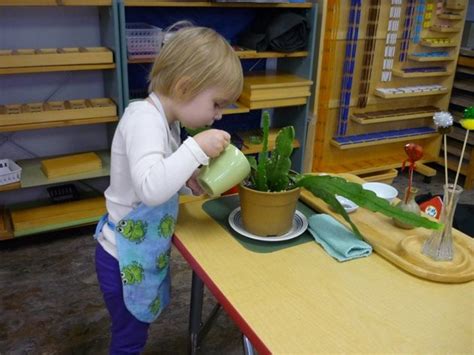 Листни въшки по цветята Български Фермер