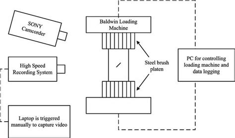 Schematic Representation Of Experimental Setup Specimens Containing Download Scientific