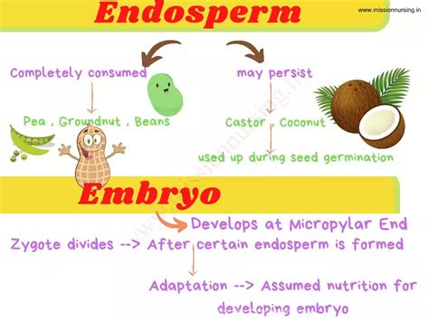 Reproduction In Plants Angiosperm Mission Nursing