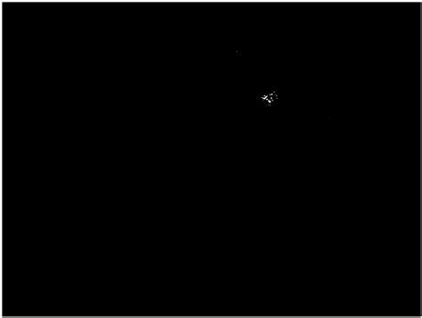 Plant Derived Self Emulsifying Nano Insecticide As Well As Preparation