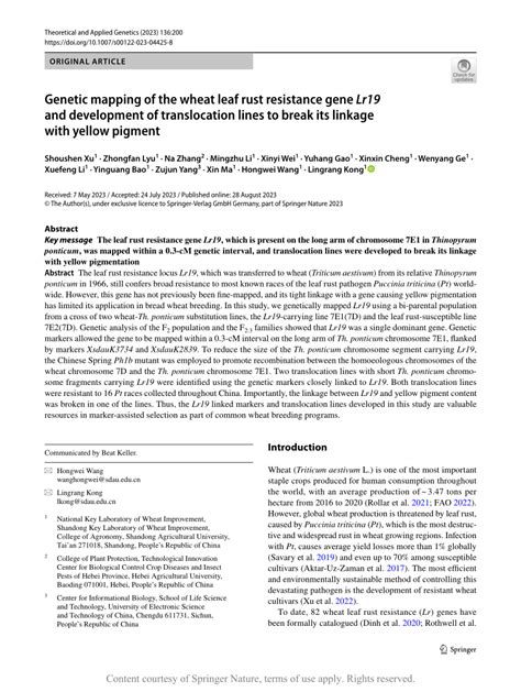 Genetic Mapping Of The Wheat Leaf Rust Resistance Gene Lr19 And