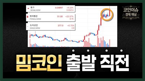 밈코인 상승 시작 본격적인 코인 불장의 서막입니다 Youtube