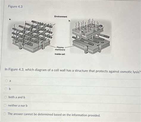 Solved Figure 4 3in Figure 4 3 ﻿which Diagram Of A Cell