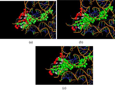 C Shows The Result By The Combination Of The Feature Based Predictor Download Scientific