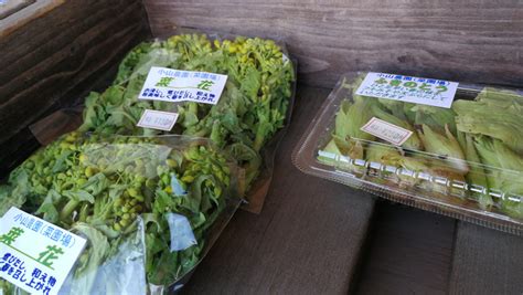 菜園場でいま採れる野菜たち3 5時点 菜 園 場小山農園