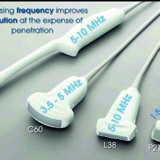 Diverse Types Of Probes Courtesy Of Dr John Christian Fox Download Scientific Diagram
