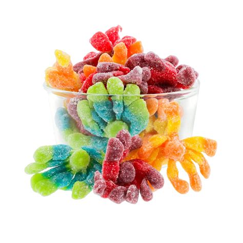 Trolli Sour Octopus Bulk Gretels Candy
