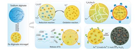 Issue 2 Year 2025 高分子科学（英文）