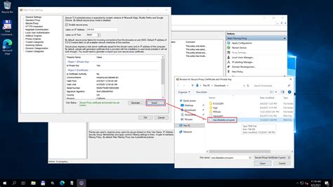 Third Party Web Filtering Proxy