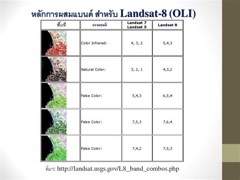 Landsat 8 Bands