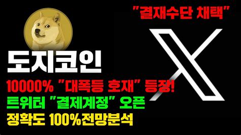 도지코인 긴급 트위터 결제계정 오픈 10000 대폭등 호재 등장 코인시황 Youtube