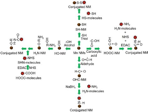 Schematic Presentation Of Different Functionalizing Agents And Their
