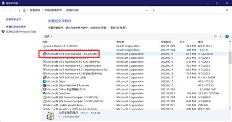 已安装net Core Runtime且为31版本，但运行时还是提示必须安装net Core · Issue 239 · Pixevalpixeval · Github