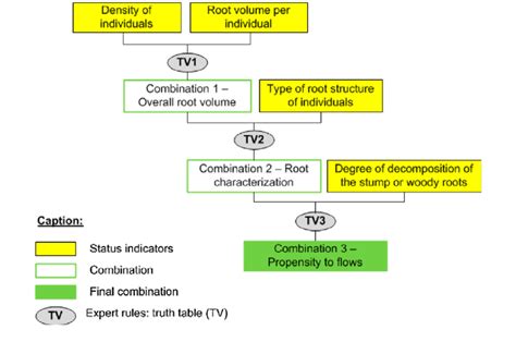Structure Of Aggregation For Assessing The Propensity To Flows Linked