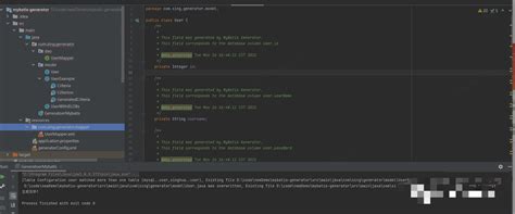 Java SpringBoot 42 Mybatis 10 逆向工程 阿里云开发者社区