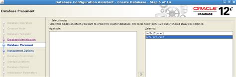 Trace Of Thinking Path Oracle 12c Rac Install 3 Of 3 Create 12c Rac Database Using Dbca