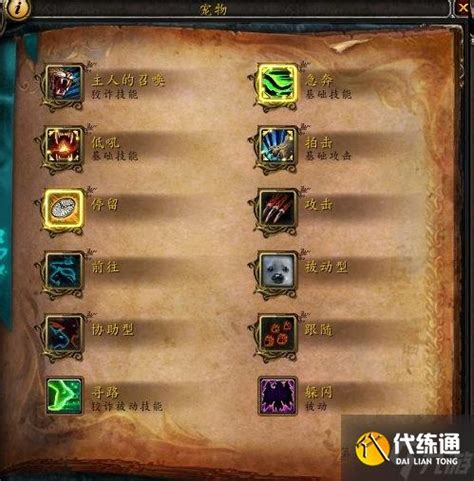 魔兽世界猎人宝宝怎么学技能 猎人宝宝学习技能攻略
