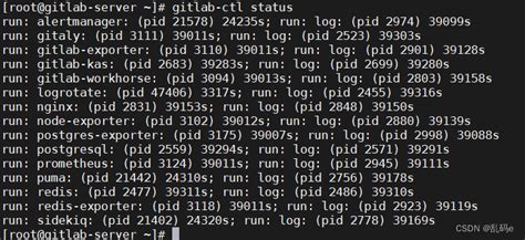 gitlab安装与使用（centos7 9） centos 7 9 安装gitlab csdn博客