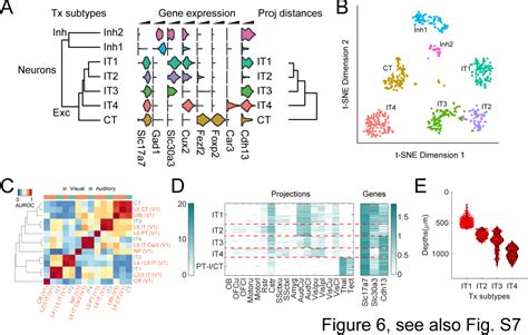 Figure 3 From High Throughput Mapping Of Long Range Neuronal Projection