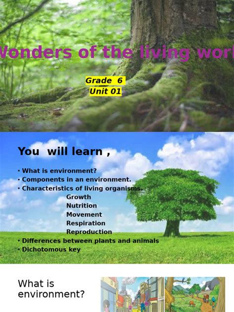 Grade 6 Unit 1 Part 1 Pdf