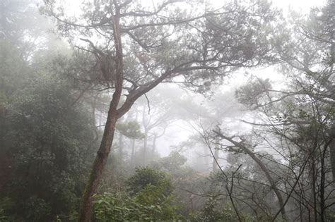 雲深不知處 每日頭條