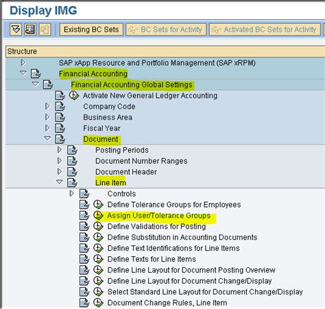 SAP FICO MODULE LEARNING Define Tolerance Group For Employees And Assign User Tolerance Groups