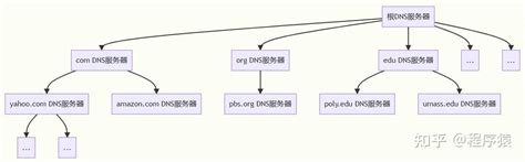 浅谈dns协议 知乎