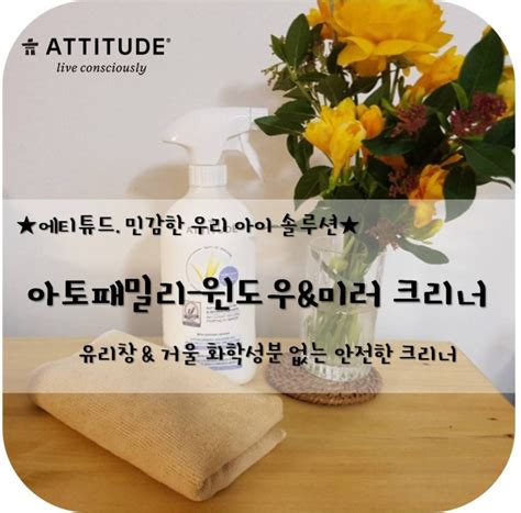 에티튜드 청소용품 유리창 청소 아토패밀리 윈도우and미러 크리너로 해결 네이버 블로그