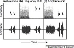 Tits Noise And Urban Bioacoustics Trends In Ecology Evolution