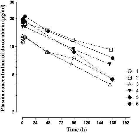 Individual Plasma Concentration Versus Time Profiles Of Doxorubicin Download Scientific Diagram