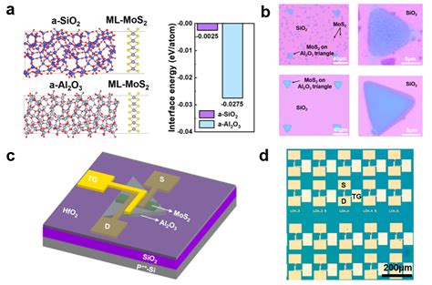 中国科大在高性能二维半导体晶体管领域取得重要进展 中国科大新闻网