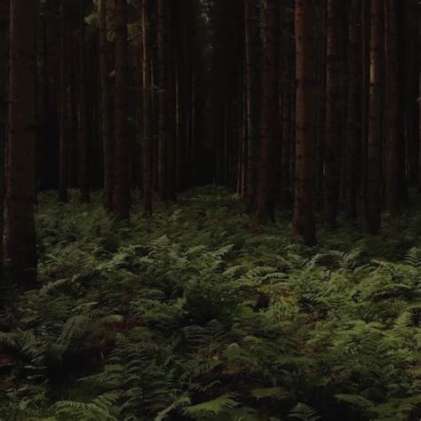 Author Gilda Goudarzi On Linkedin Self Awareness Is The Ability To Take An Honest Look At Your