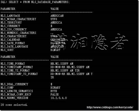 Oracle的多种字符集含义oracle Nationalcharacterset Csdn博客
