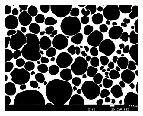 Binarization Processing Image ×40 Download Scientific Diagram