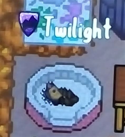 Discuss Everything About Cattails Game Wiki Fandom